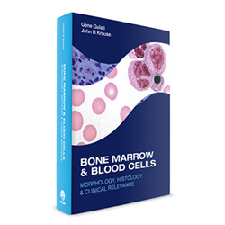 Bone Marrow & Blood Cells: Morphology, Histology & Clinical Relevance